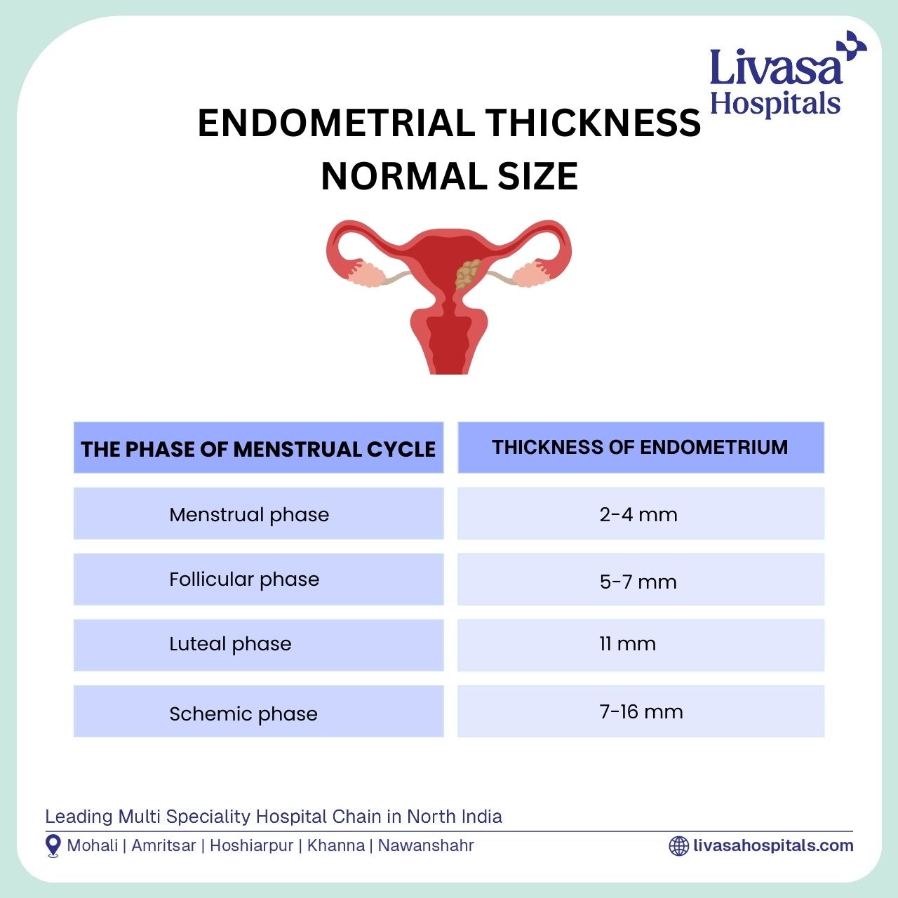 Measuring and Understanding Normal Endometrial Thickness